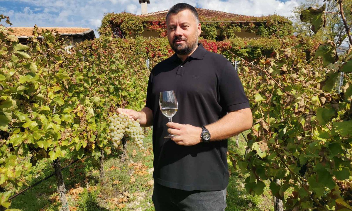 Ove godine vremenske prilike bile dobre: Počela berba grožđa u Carskim vinogradima | BL Portal