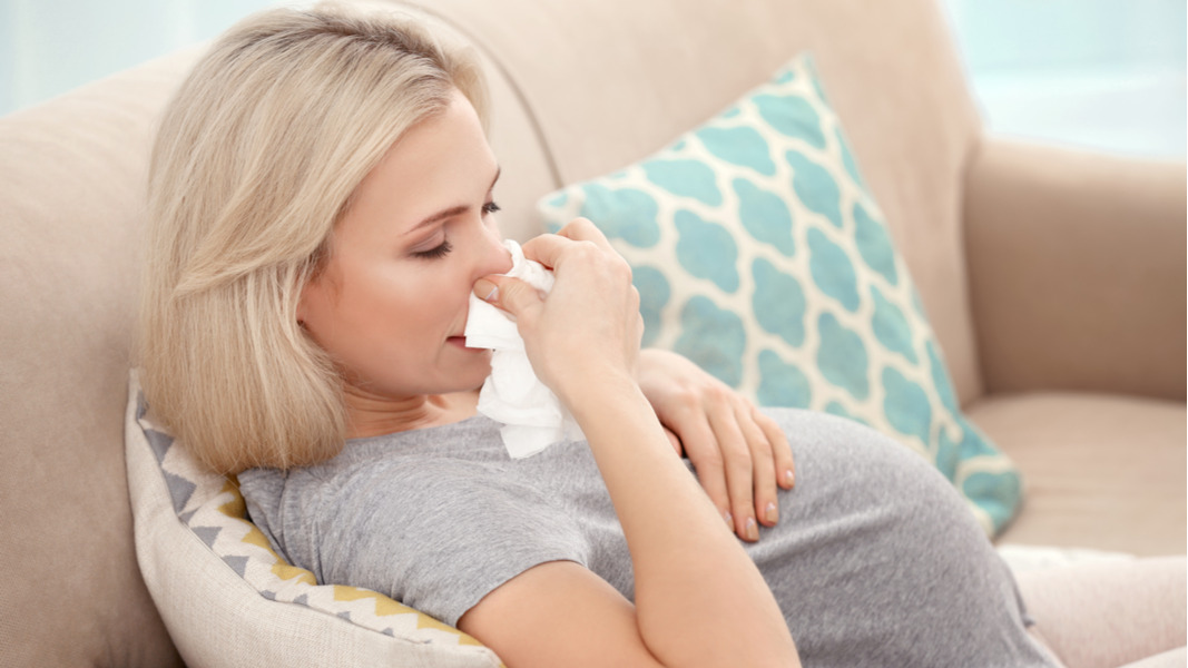 Sezona prehlada je počela: Ova biljka će vam olakšati život | BL Portal