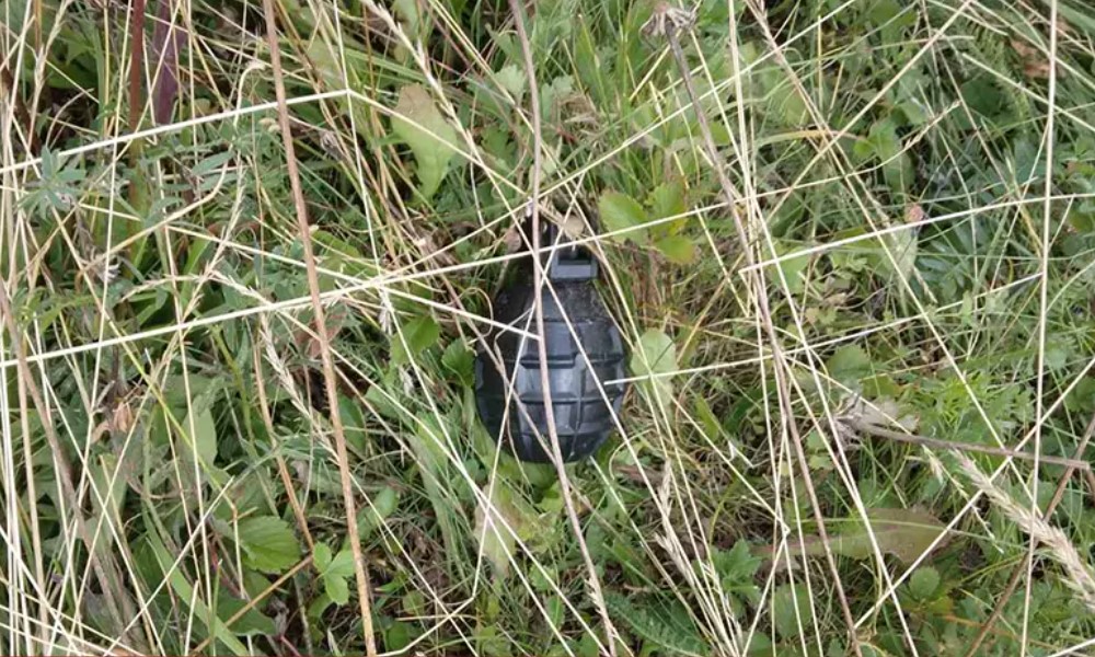 Htio da se obračuna sa vukovima: Domaćin na Sokocu postavio bombu ispod ... Htio da se obračuna sa vukovima: Domaćin na Sokocu postavio bombu ispod ...