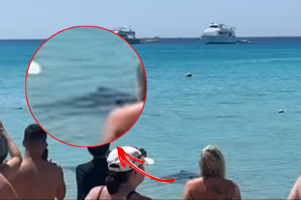 Drama u Hurgadi: Morska neman prestravila kupače VIDEO | BL Portal