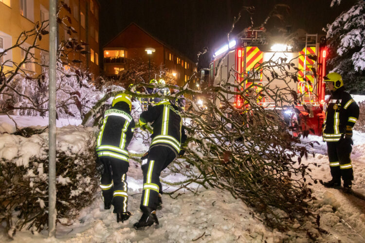 Snježna oluja pogodila veći dio Evrope: U Njemačkoj stablo usmrtilo ... Snježna oluja pogodila veći dio Evrope: U Njemačkoj stablo usmrtilo ...