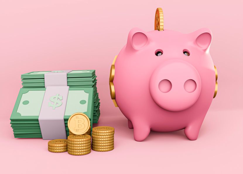 Zašto kasice prasice imaju taj oblik? Nasmijaćete se kad čujete pravi ...