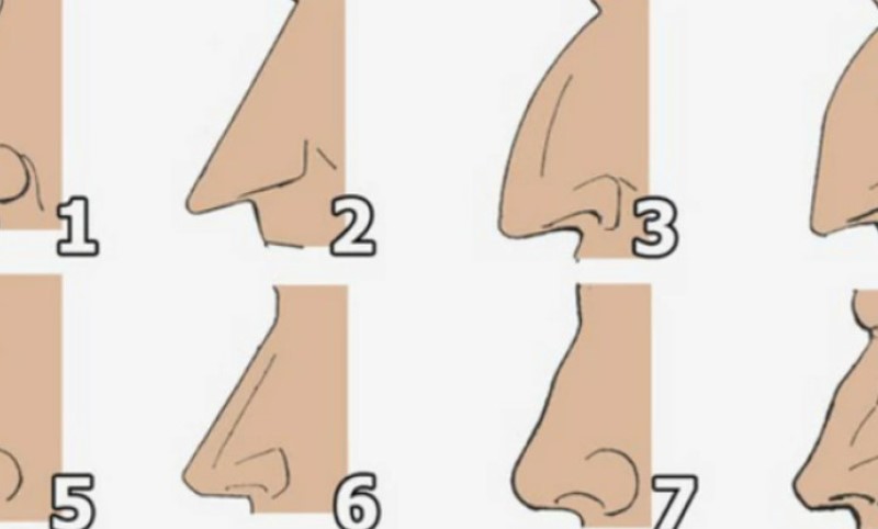 Ko je sklon prevari, a kome je suđeno da se obogati: Oblik nosa otkriva ...