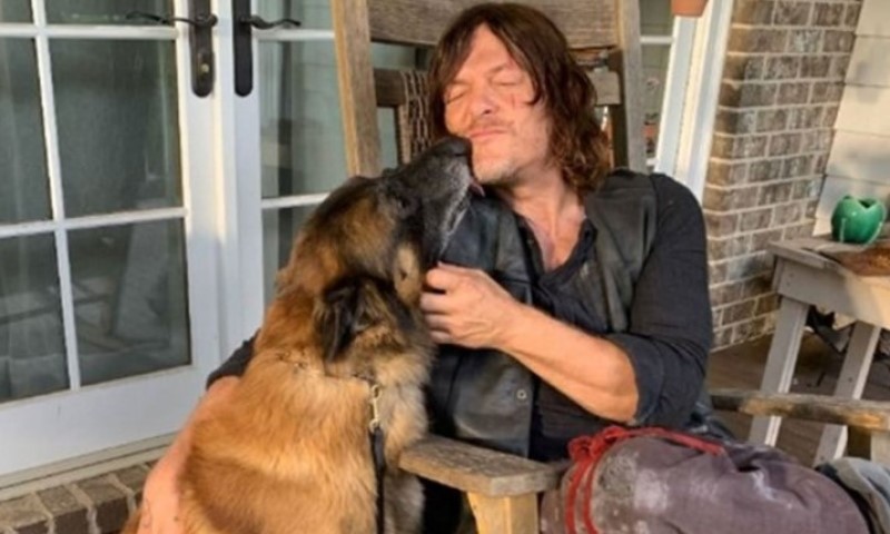 Uginuo belgijski ovčar Seven: Tuga za psom koji se proslavio u seriji ...