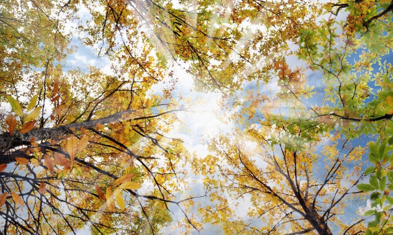 Jesen pokazuje svoje najljepše boje: Prognoza o vremenu u BiH za utorak ...