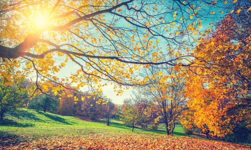 Magla i oblaci plus sunce, jednako topao dan: Prognoza o vremenu u BiH ...