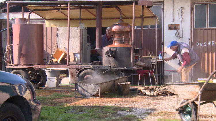 Sezona pečenja rakije: “Veseli stroj” u okolini Banjaluke radi punom ...