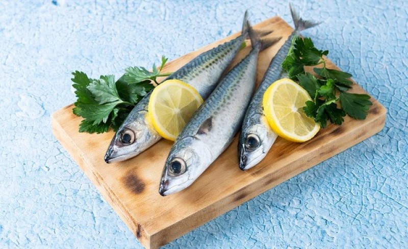 Najzdravija riba na svijetu: Ne može se porediti ni sa lososom, a ...