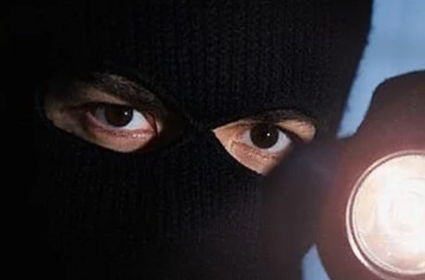 Dnevna doza humora: Lopovi na vratima | BL Portal